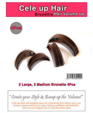 Accessorize a Fashionistar: Bump-It Hair Clips