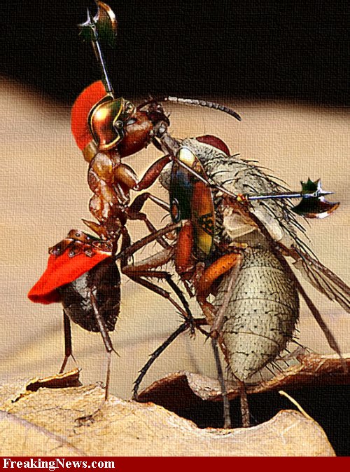 Testamento de Miércoles: junio 2010