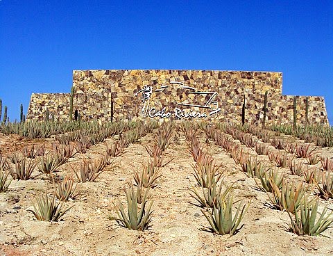 El Bable: La Ribera en Cabo del Este, Baja California Sur