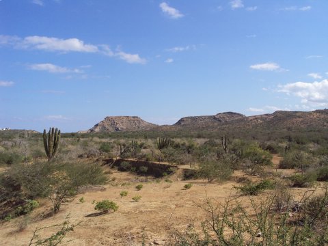 El Bable: La Ribera en Cabo del Este, Baja California Sur