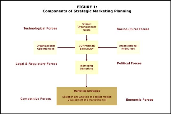 Strategy Marketing Plan: Strategic Market Planning for Public Transit ...