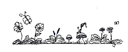 Elda Mor Herbal Blog