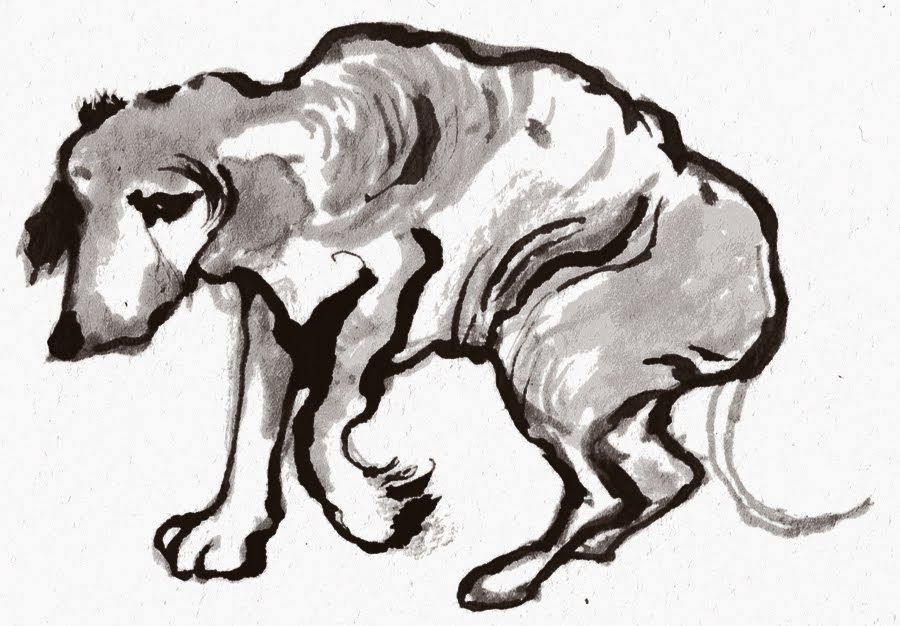 LATELE: El perro vagabundo