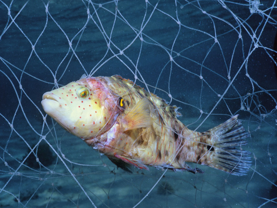 Mémoires Vol II: 20- Juvénat de Chertsey (1954-58)