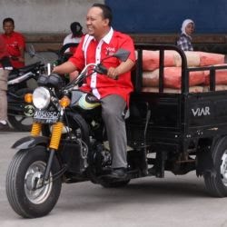 VIAR MAESTRO 3 RODA: Kendaraan Roda Tiga,Pengganti Pikap