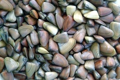 My World To Yours: This is my Aparri, my hometown