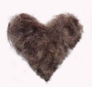 notes on linguistic curiosities and oddities.: July 2010