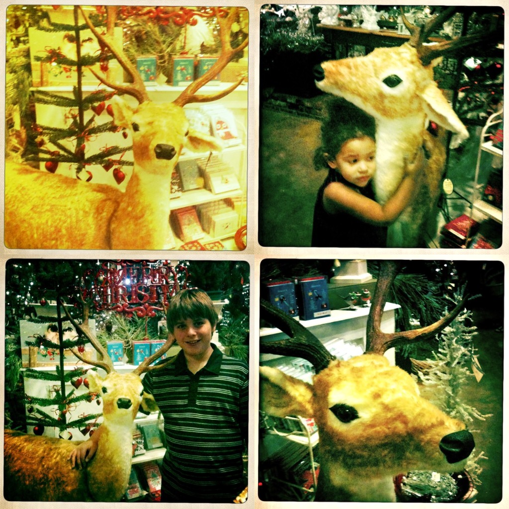 Fresh Angeles: Holiday Tradition at Sheridan Gardens