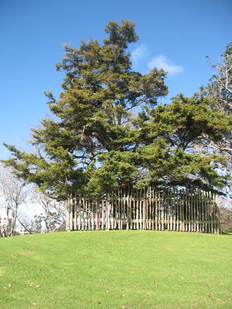 my thoughts and photos: Skywatch Friday: Matariki, Maori New Year