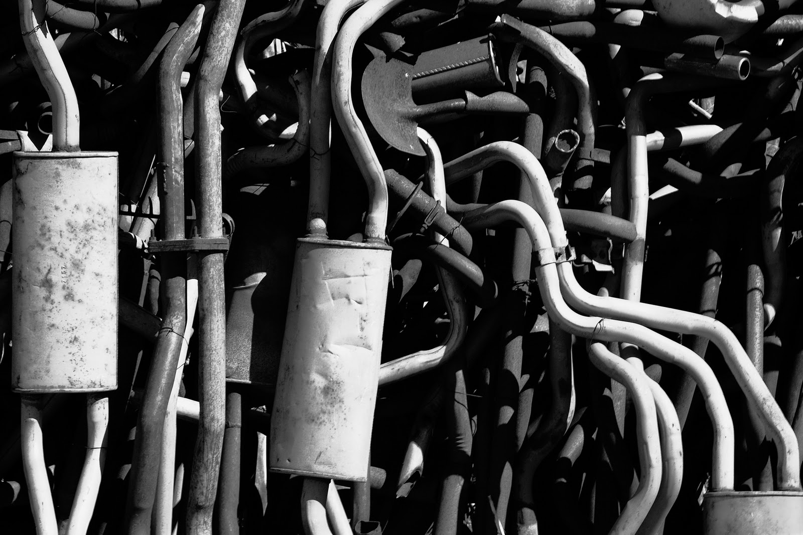 Steve Immel Photography: The Arrangement