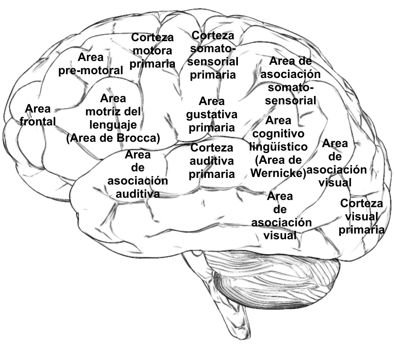 TEORIA DE LA IDIOLOGIA-Max Kahl: CAPÍTULO 1