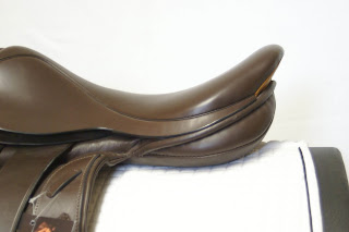 Saddle Fitting: The Inside Journey: Fitting Options