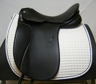 Saddle Fitting: The Inside Journey: Back to Basics - Saddle Types