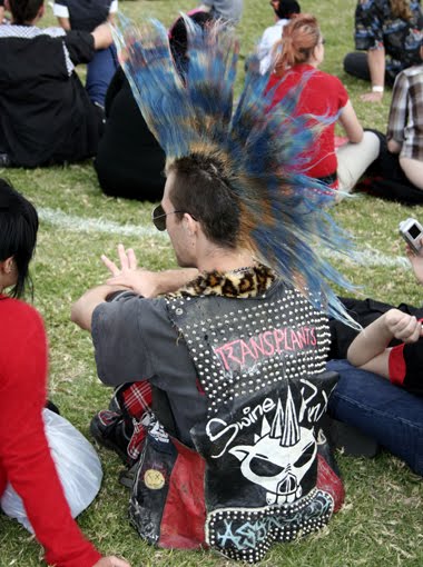 Park Model: Cultura Punk