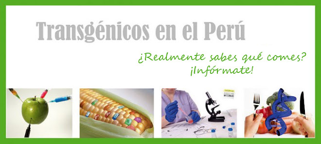 Transgenicos en el Perú: Organismos genéticamente modificados