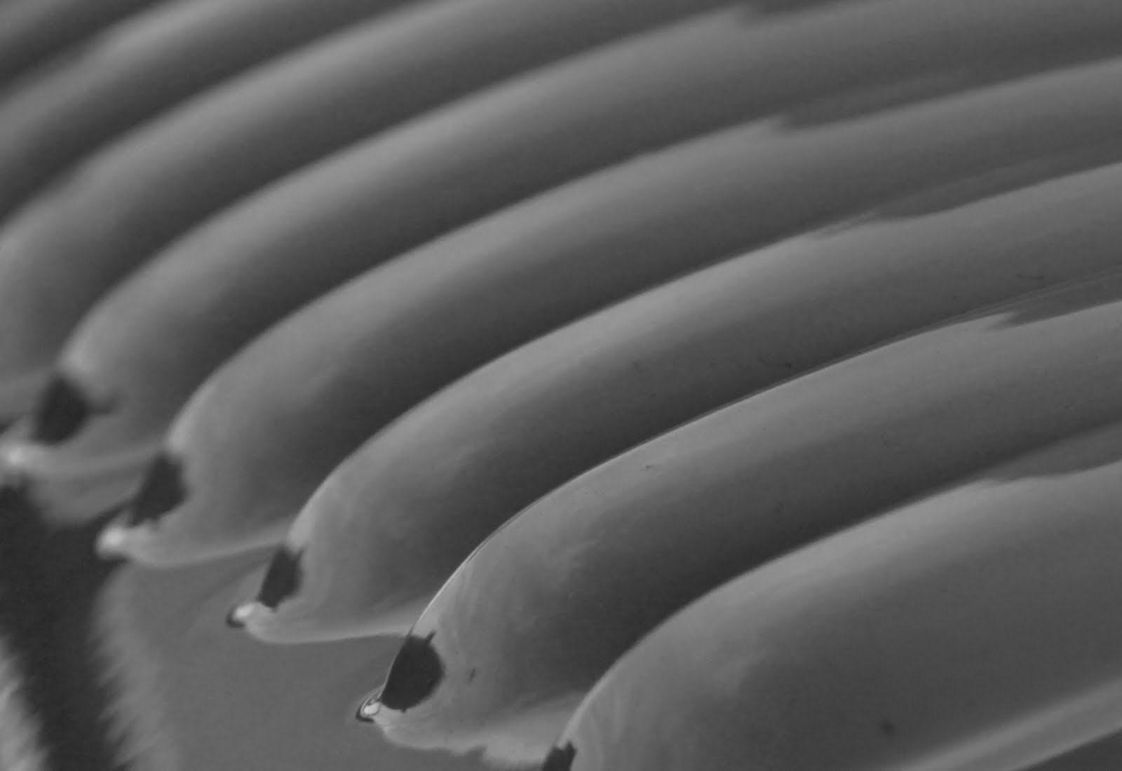 Northland College Art Department Photography Blog: Assignment 3 Mass ...