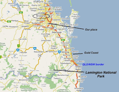 Jazzoos news and views: Lamington National Park