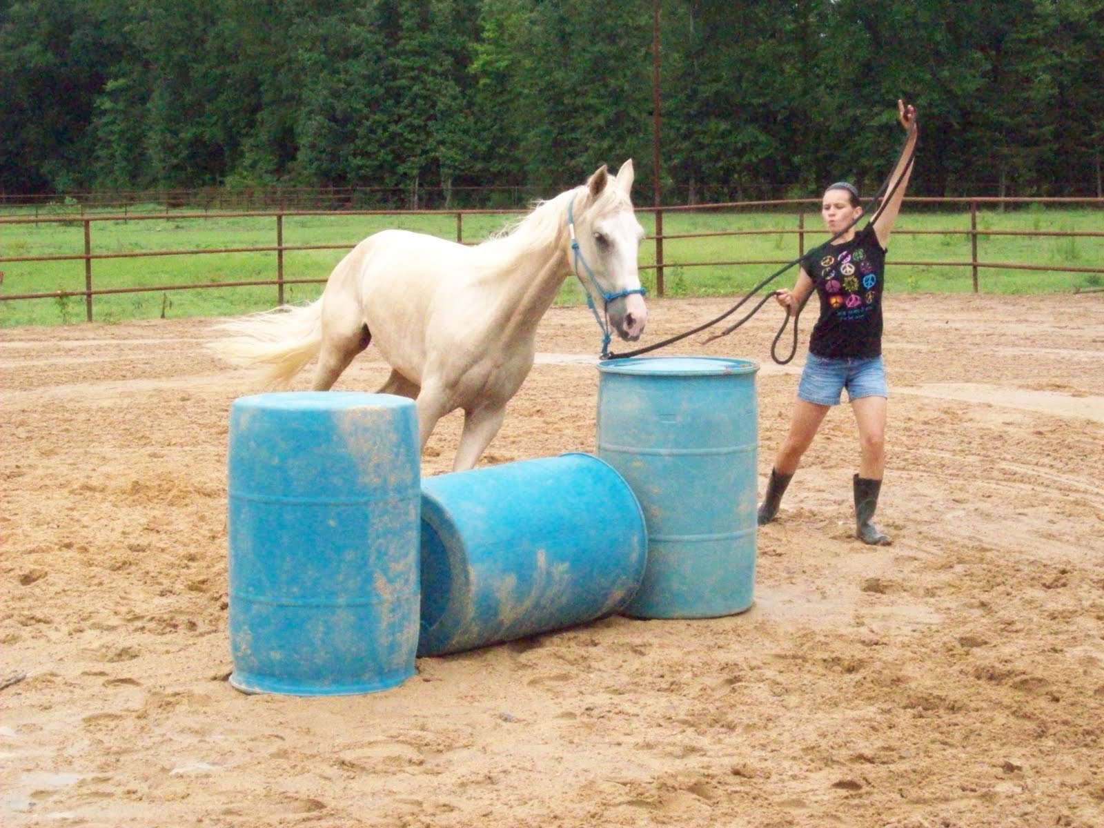 Walk of the Wild Horse: Jumping pictures