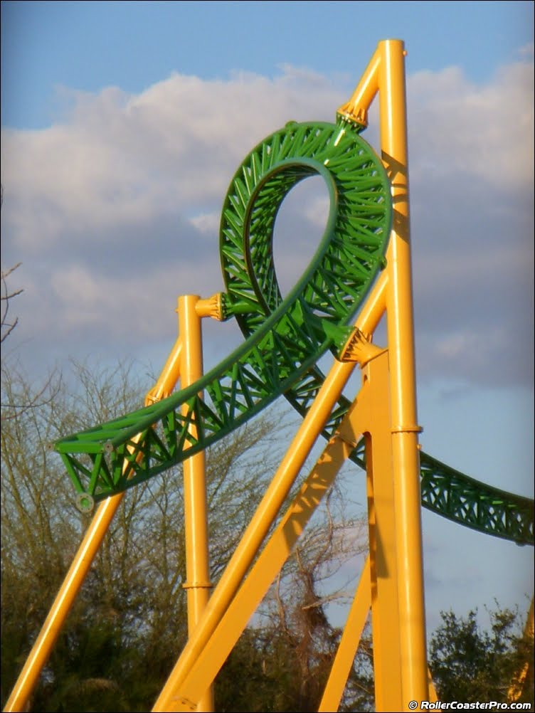 Through My Eyes: More Cheetah Hunt Vertical Activity and Gwazi Update