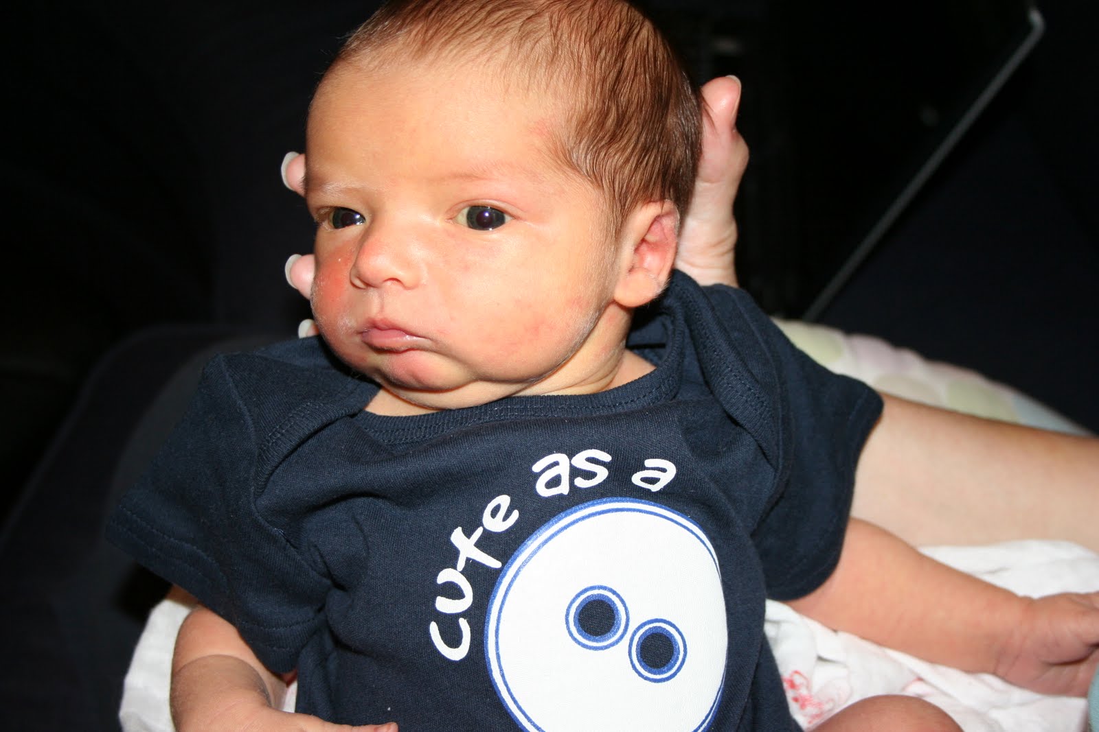 The Brinkerhoffs: GRAYER SCOTT BRINKERHOFF