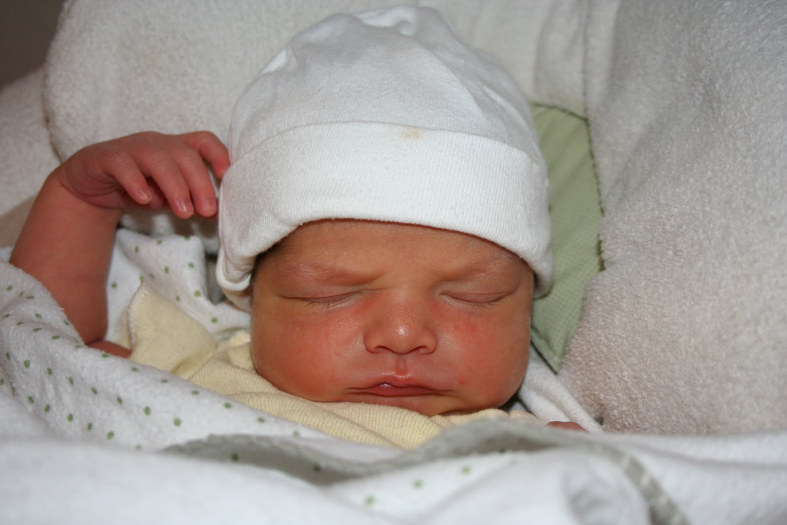 The Brinkerhoffs: GRAYER SCOTT BRINKERHOFF