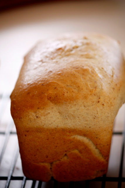 high altitude bread recipe