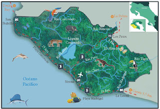 Gettin' WILD in the OSA : Parque Nacional Corcovado / Corcovado ...
