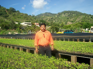 Sami Rivas: Funciona Herbalife?