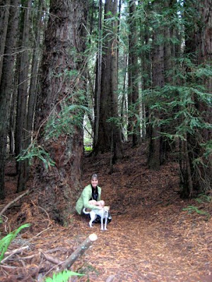Polipoli State Park | Ho'okipa Aikane on Maui Hawaii