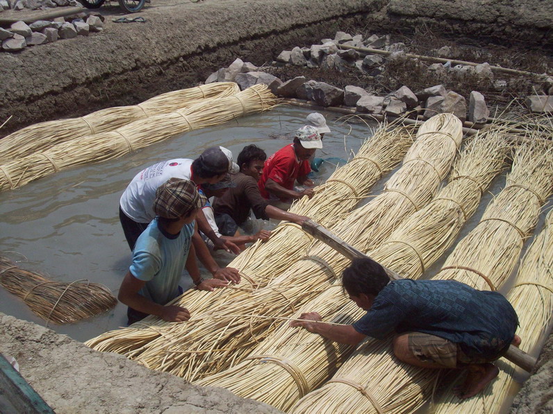 Rattan Collection: Rattan and The Story