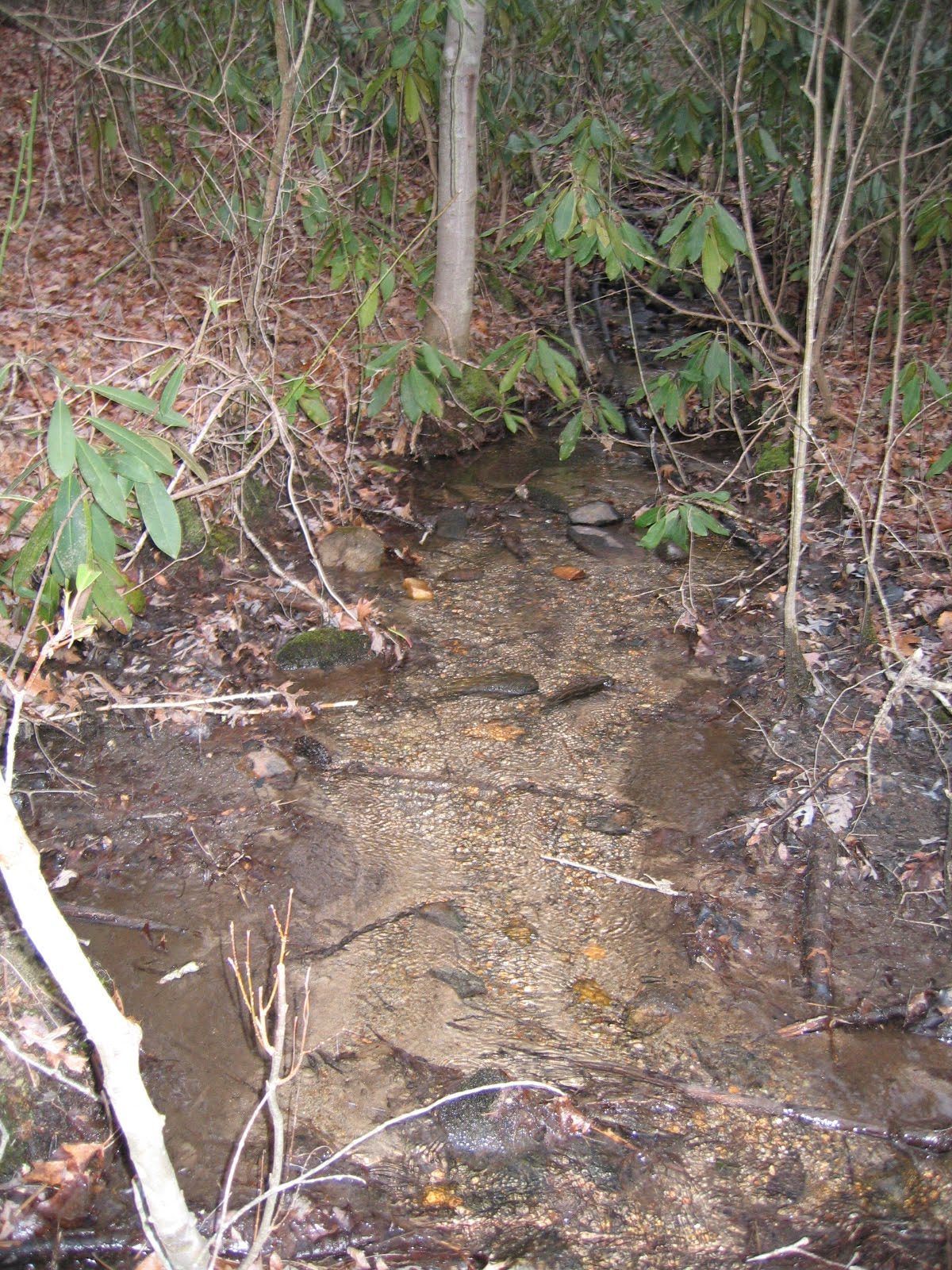 Hidden Stream Retreat