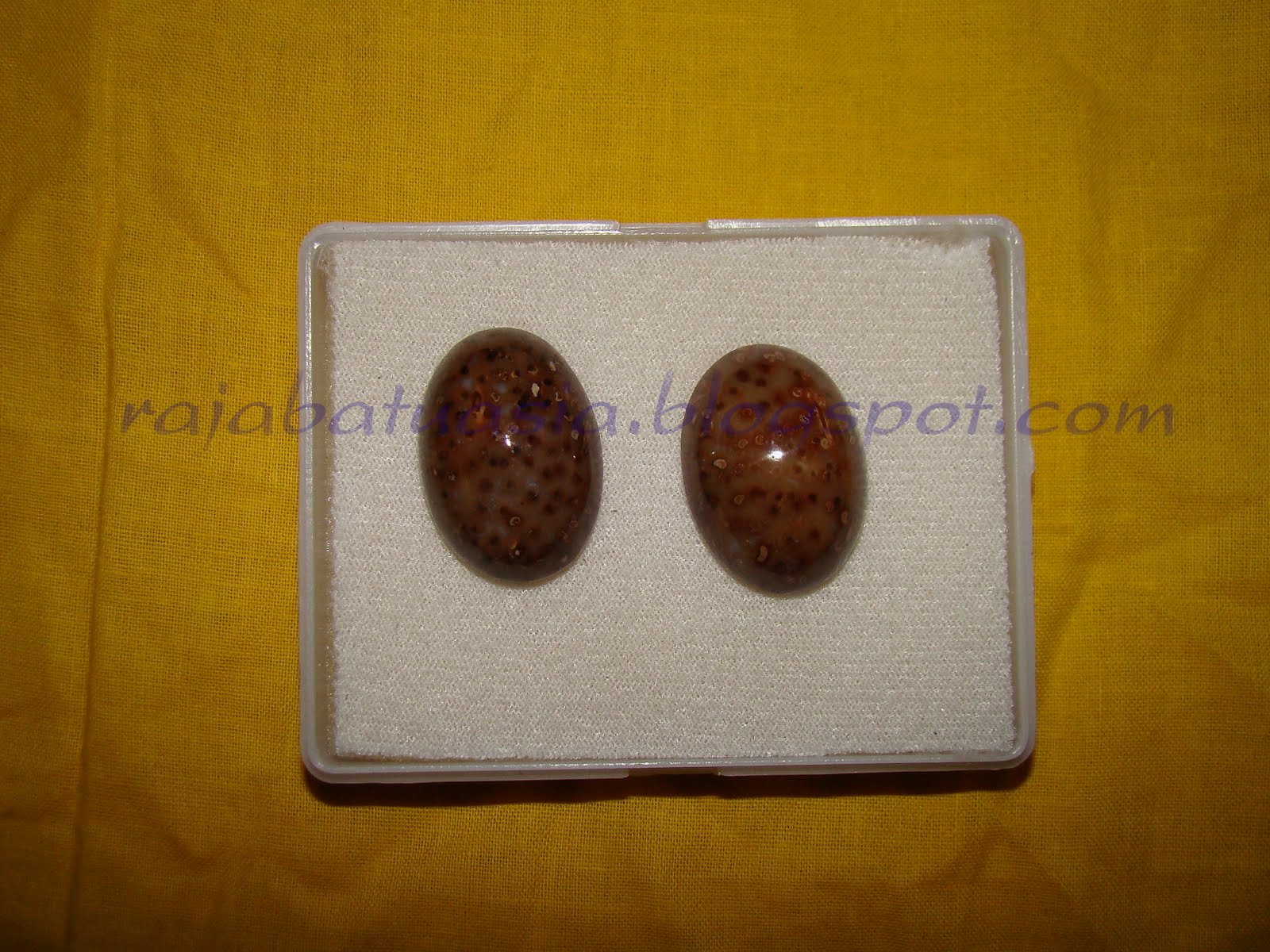 Raja Batu Asia: Buntat Kelapa