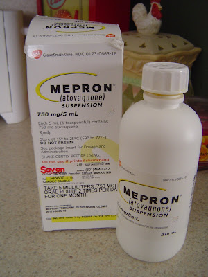 When Life Gives You Lyme: An Alternative to Mepron...Alinia