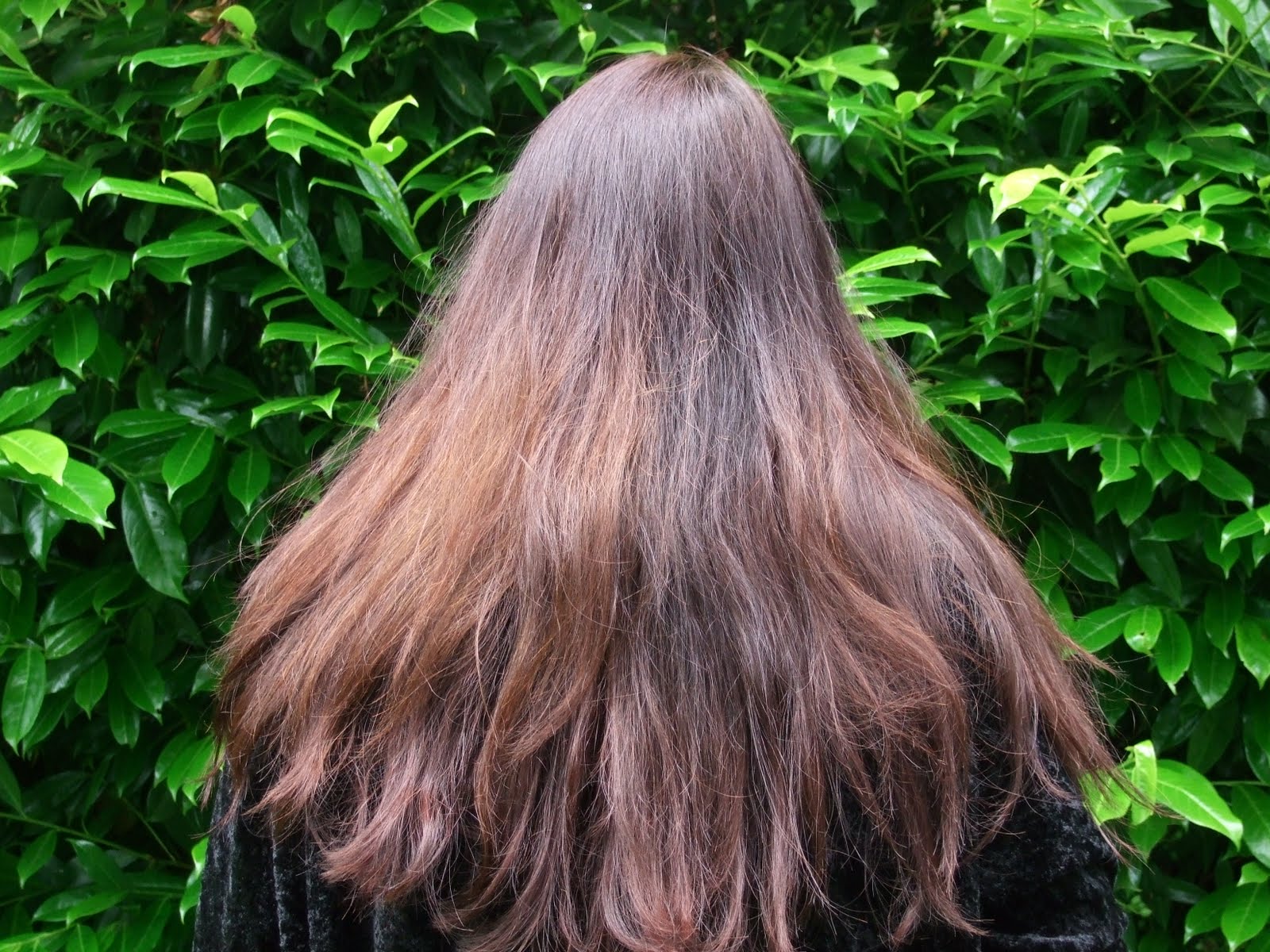 Victorious Adventurous Life: Healthy Choices with Pure Botanical Hair Color