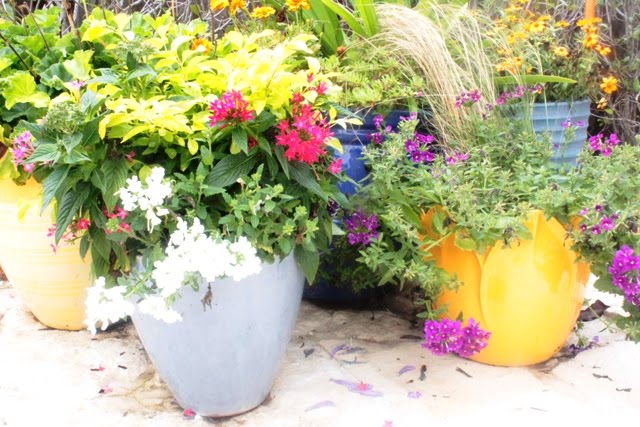 SEM Interiors : collections