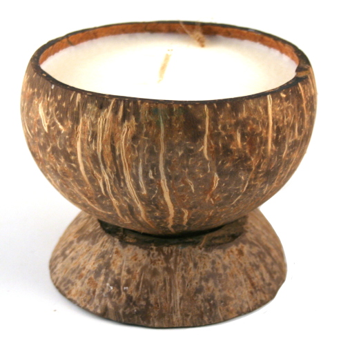 In My Mind...: What is the Future of Coconut Industry in Quezon ...