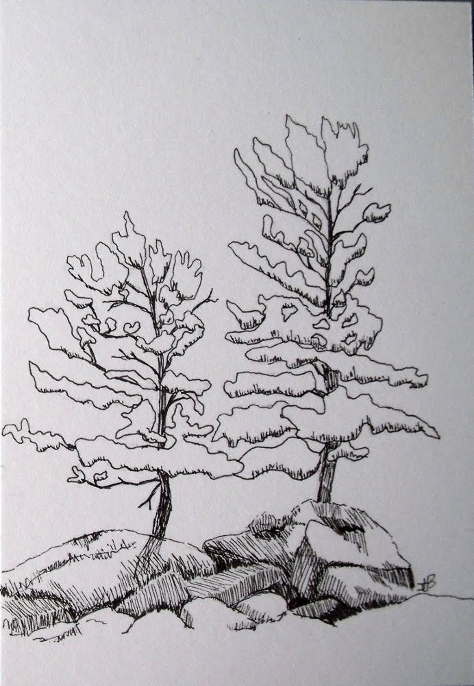 JHB's Paint Spot: Pen and Ink Trees