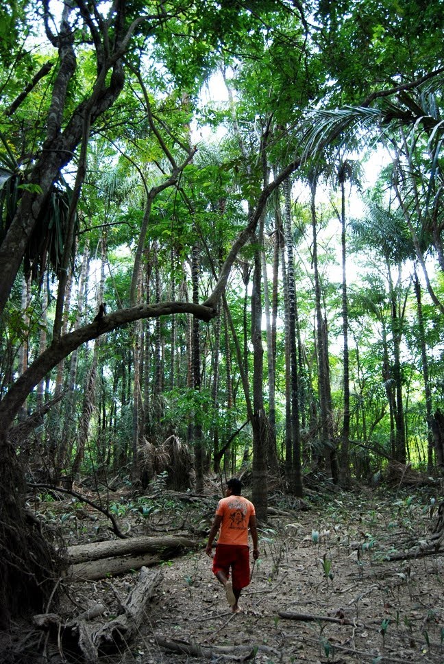 Wildlife, History and Adventure In the Amazon: Dry Season Rainy Season