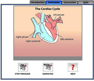 World of Human Anatomy & Physiology: The Cardiac Cycle