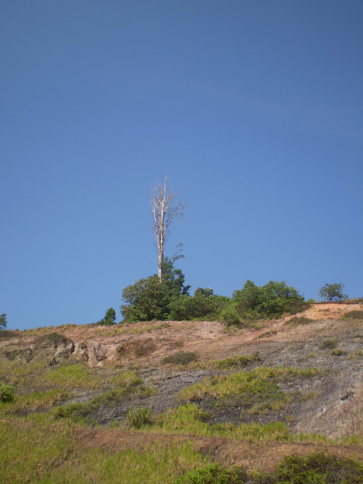 MY CYCLING BLOG..: Terjahan ke Gunung Inas, Baling..