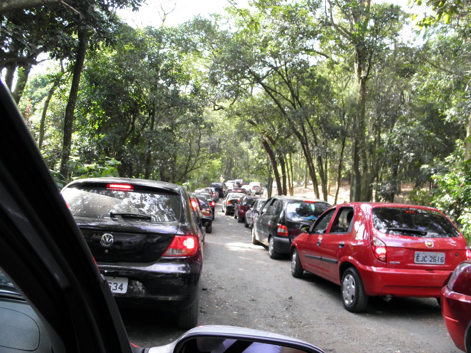 Viaja Brasil - Lydi: Zoo Safari - SP