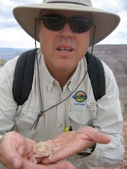 Mojave Brad: Queho, the nations last renegade indian.