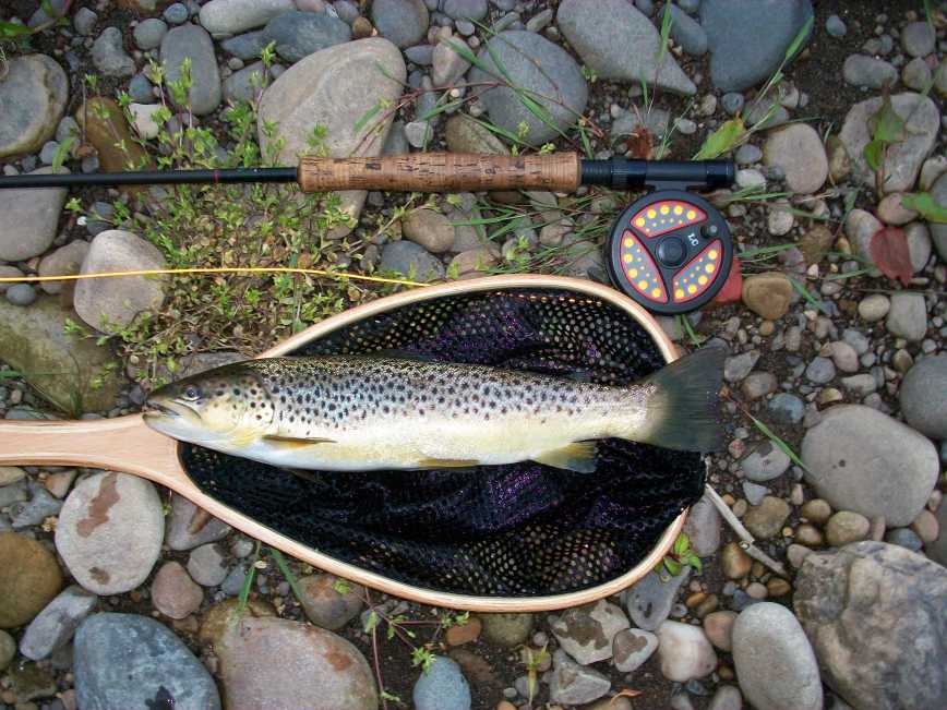 The Flee, Float & Foto: River Tees Fly Fishing