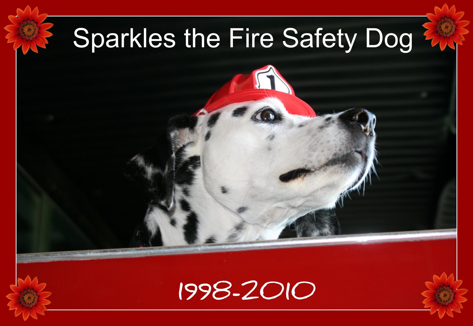 Children's Book Author Dayna Hilton: Sparkles the Fire Safety Dog 1998-2010