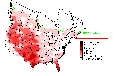 Hybrid Birder: Nighthawk Migration