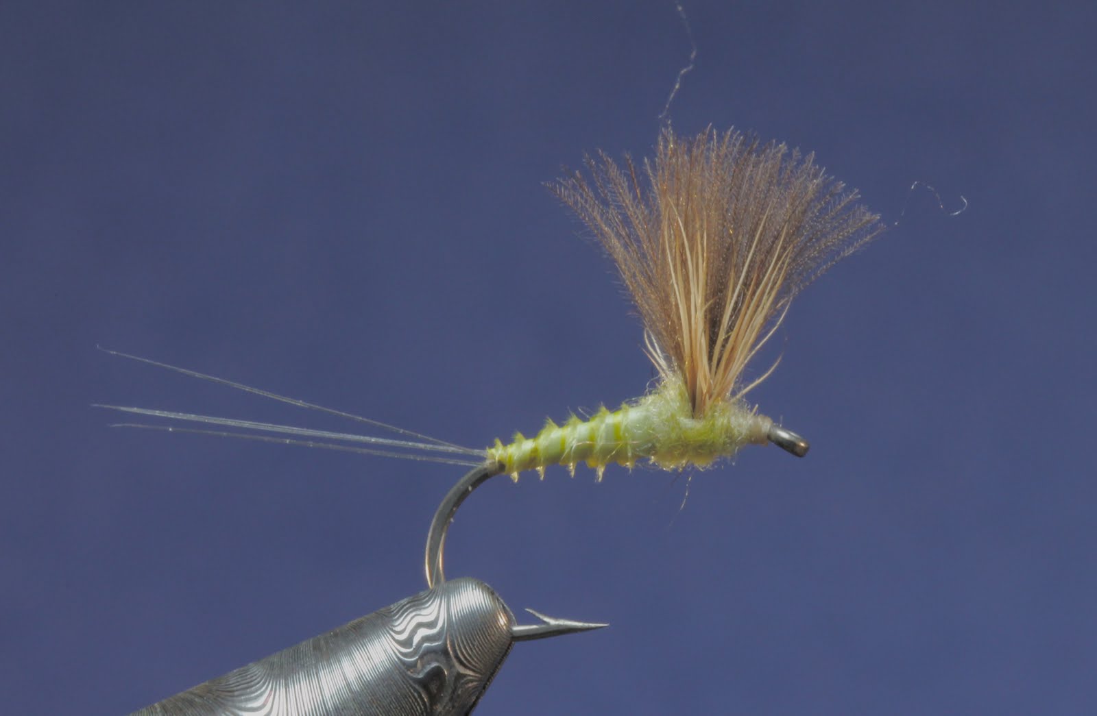 Fly Fishing and Fly Tying: Biot Body CDC and Deer Hair Comparadun