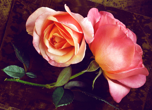 "Yo Pienso, Yo Creo, Yo Siento"