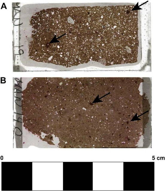 Archaeological*Highlights: Identifying pottery clay from rice fields ...