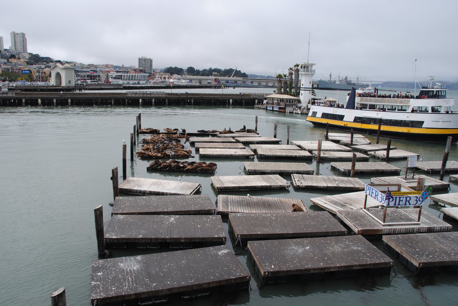 Bilder von Alcatraz und Pier 39
