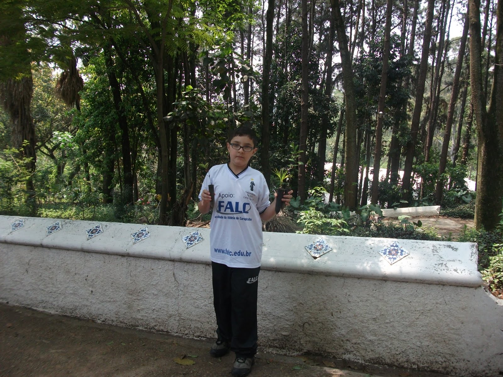 XADREZ DO PICA PAU - FELIPE SILVA: COMEMORAÇÃO DO DIA DA ARVORE